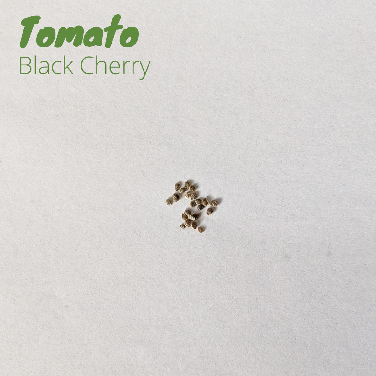 Florida Tomato Pack – Fl Gardening